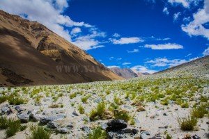 Yayawar Wanders in Ladakh & Spiti – Day 10 : Part 3 – Yayawar