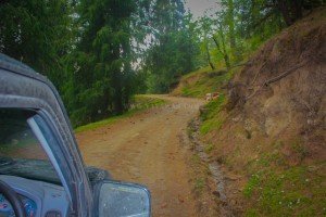 chanshal range – Yayawar