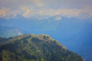 chanshal range – Yayawar